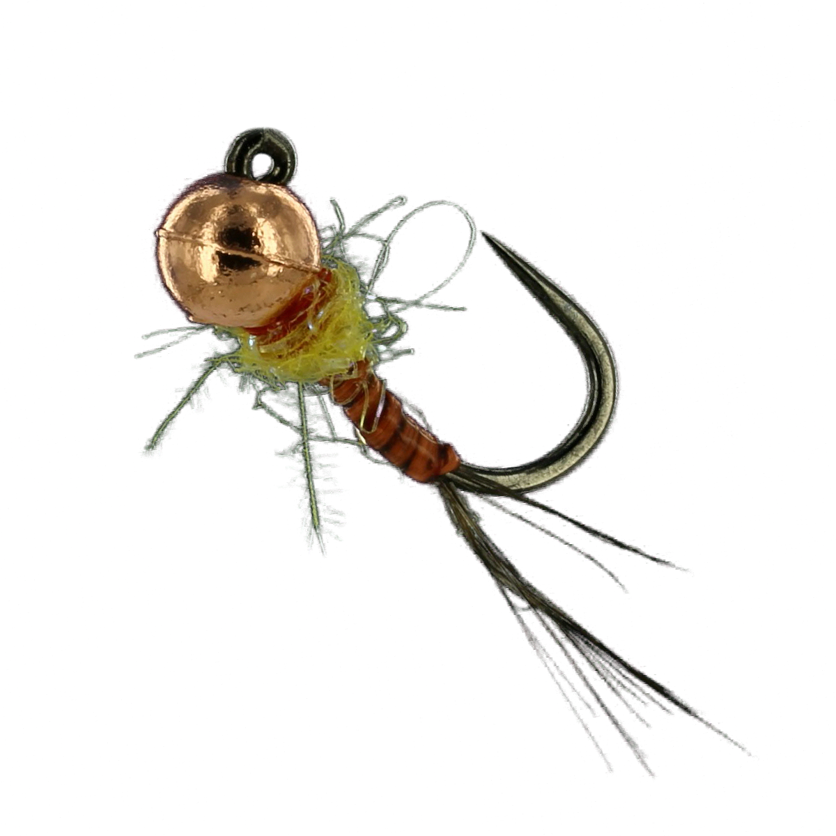 Ginger Snap – The Fly Shop