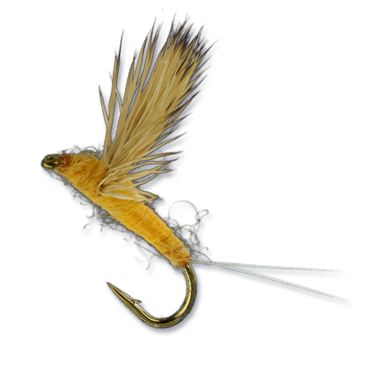 Comparadun – The Fly Shop