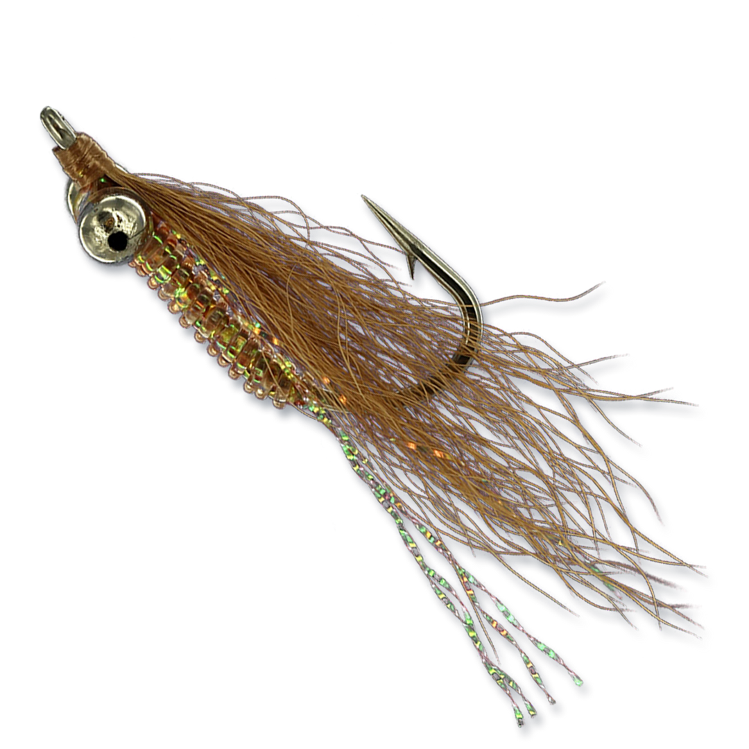 Crazy Charlie - #6 – The Fly Shop