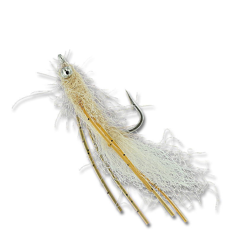 Mantis Shrimp - #2 – The Fly Shop