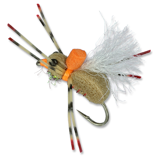 Regal Beetle - #8 – The Fly Shop