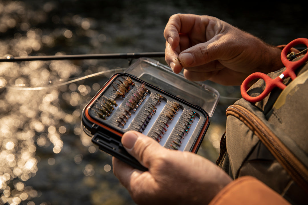 The Fly Shop